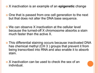 X chromosome inactivation | PPTX