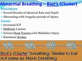 Neural Control of Respiration - Abnormal Breathing Patterns - Sanjoy ...