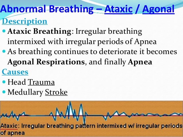 Neural Control of Respiration - Abnormal Breathing Patterns - Sanjoy