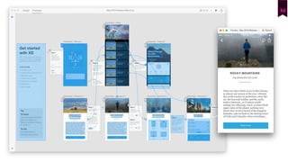 Essentials of Adobe Experience Design | PPTX