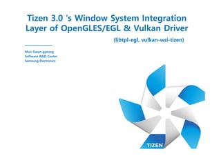 Tizen 3.0's Window System Integration Layer of OpenGLES/EGL & Vulkan ...