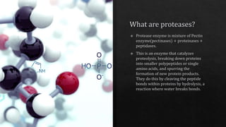 Protease | PPT