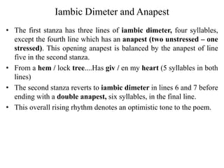 X Dust of Snow | PPT