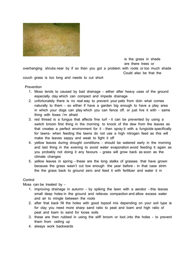 Rs gardening services | lawn care | PDF