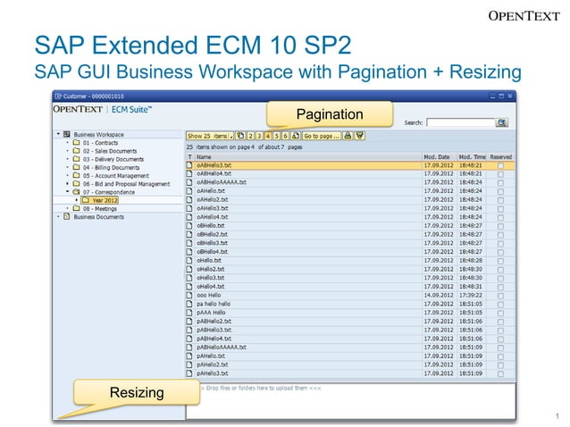 SAP Extended ECM 10 SP2 - SAP GUI Business Workspace with Pagination and Resizing | PDF ...