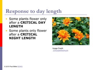 PHOTOPERIODISM and classification of plants .ppt.pptx
