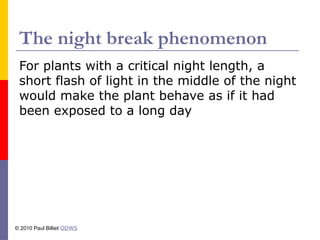 PHOTOPERIODISM and classification of plants .ppt.pptx
