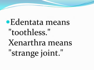 Order Xenartha | PPTX