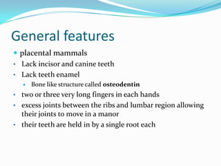 Order Xenartha | PPT