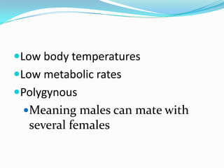 Order Xenartha | PPTX