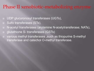 Xenobiotic | PPTX