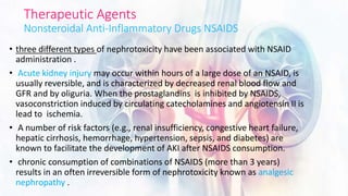 Xenobiotic affect on kidney | PPTX