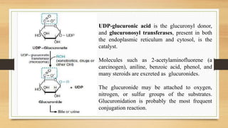 Xenobiotic metabolism | PPTX