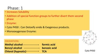 Metabolism of Xeno biotics | PPT