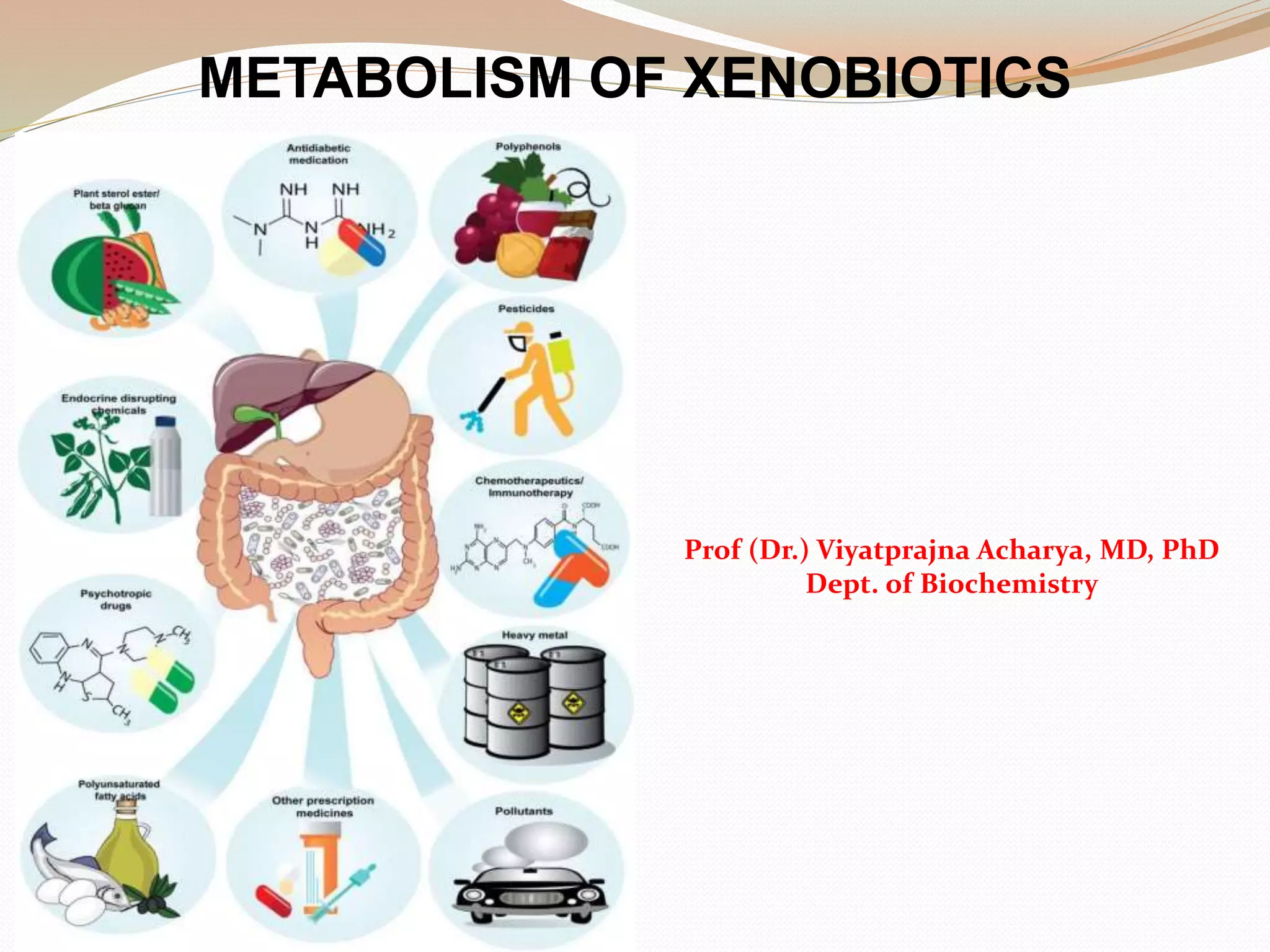 XENOBIOTICS.pptx