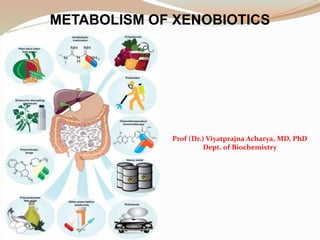 XENOBIOTICS.pptx