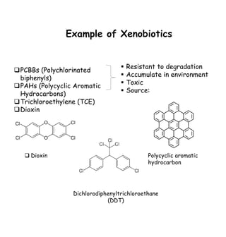 Xenobiotics.pdf
