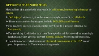 XENOBIOTICS STRUCTURAL COMPONENTS AND ITS TYPES | PPTX