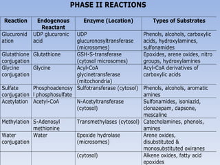xenobiotics-ashikh-170913083410 (2).pdf