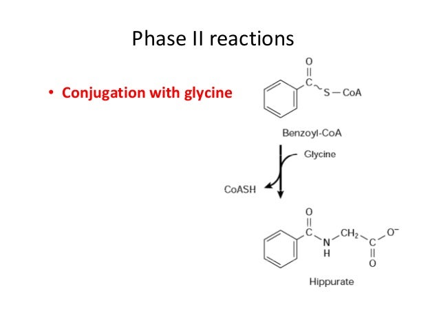 Xenobiotics aug 2013