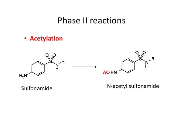 Xenobiotics aug 2013