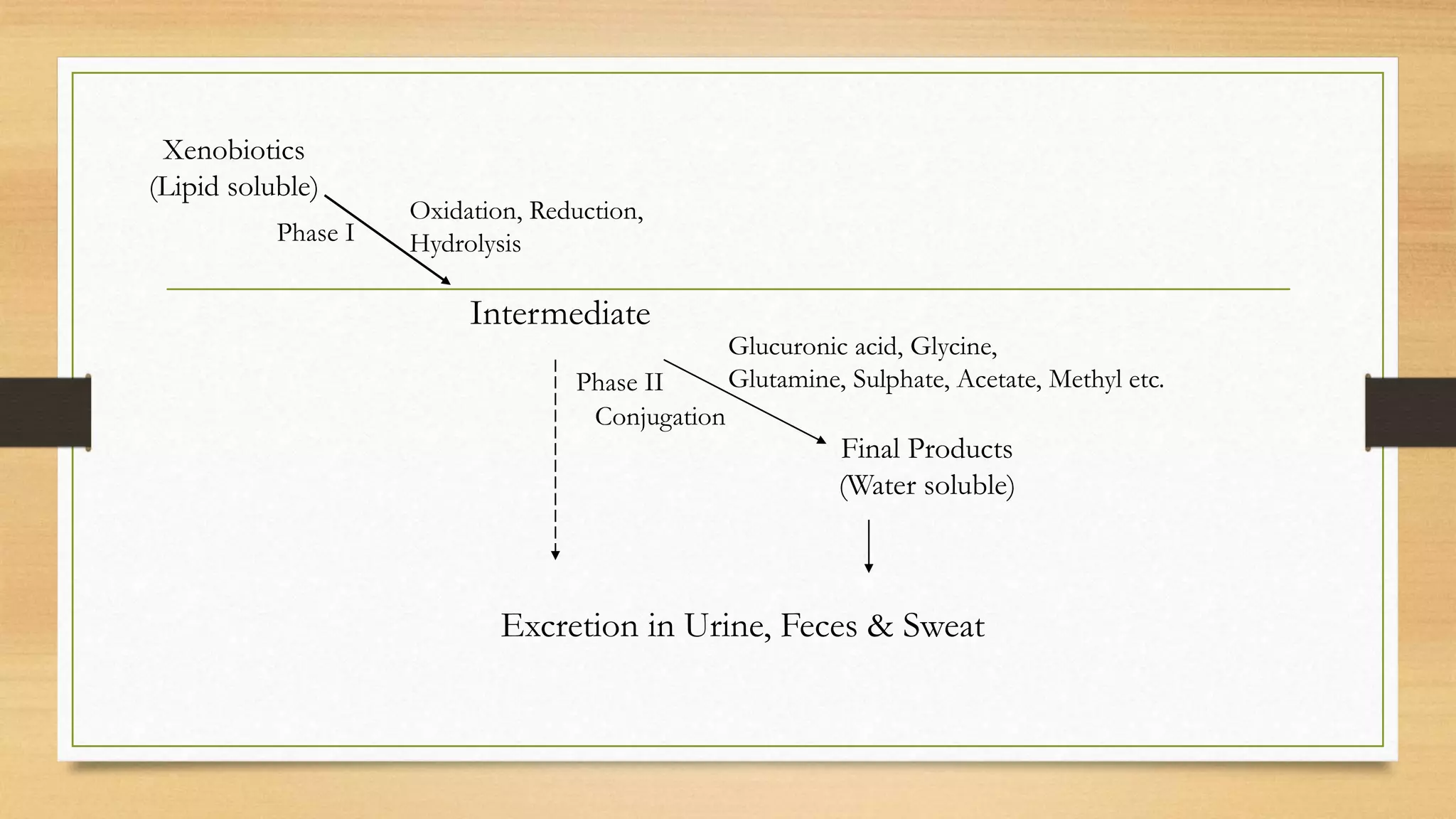 Xenobiotics Metabolism by Dr. Afzal Ahmad | PPTX