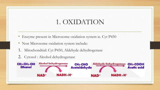 Xenobiotics Metabolism by Dr. Afzal Ahmad | PPTX