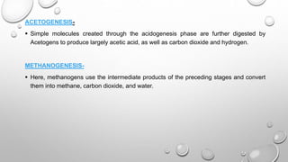 Xenobiotics ppt | PPTX | Chemistry | Science