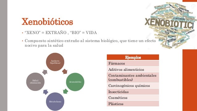 Xenobiöticos