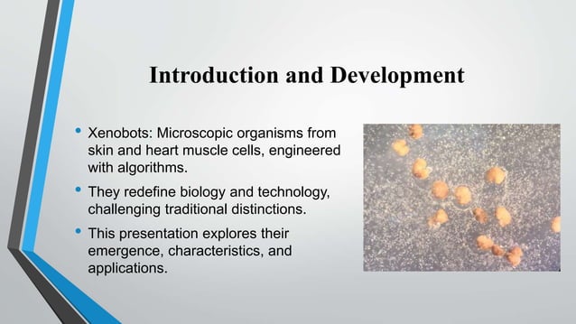 Xenobots.pptx