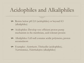 Xeno Course 2 - Extremophiles and Shadow Life | PPTX | Chemistry | Science