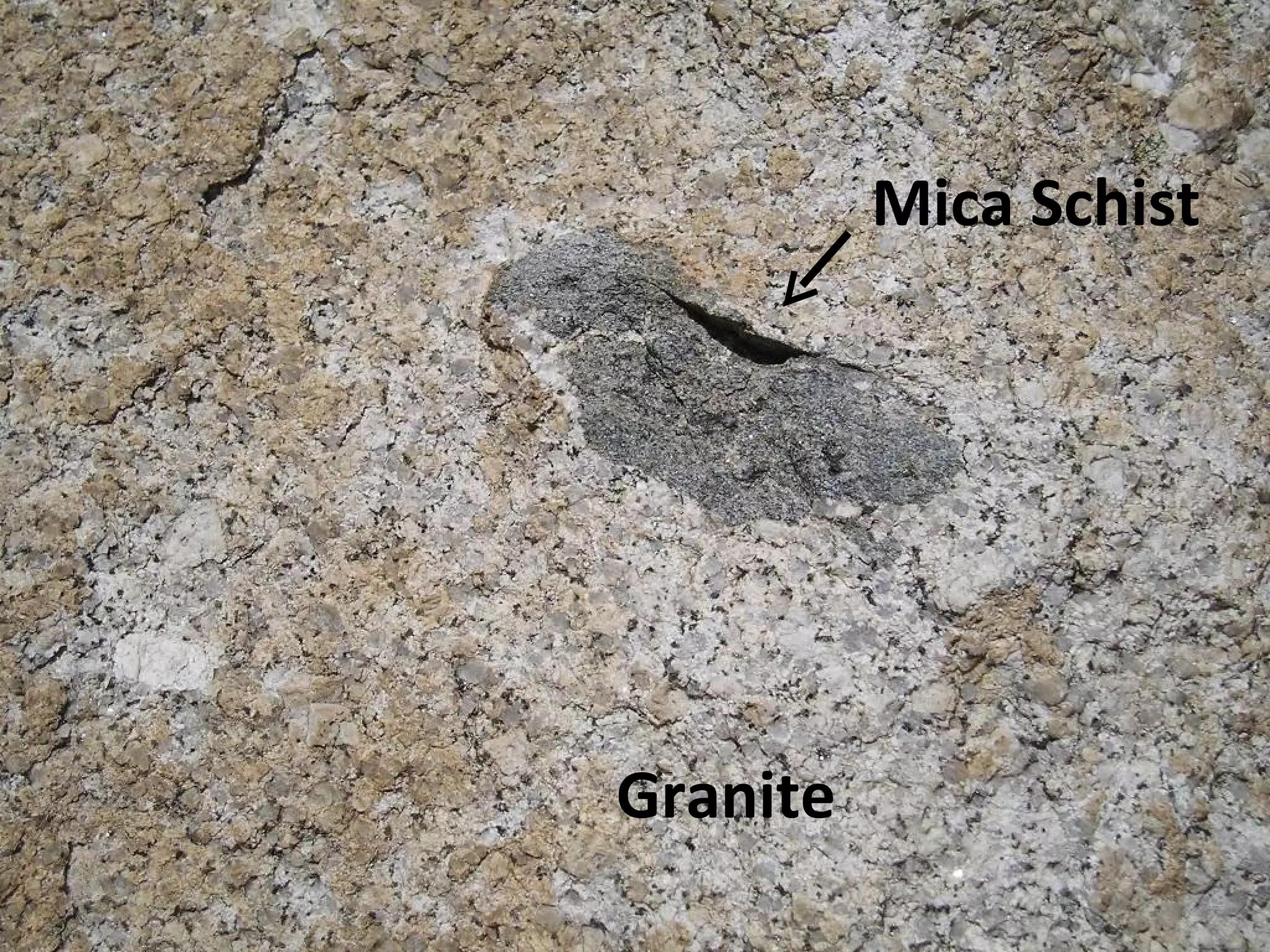 Xenolith activity | PPT | Geology | Science