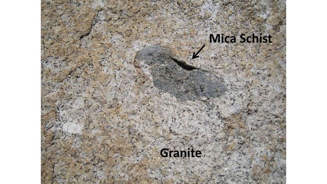Xenolith Assignment Slides Ppt