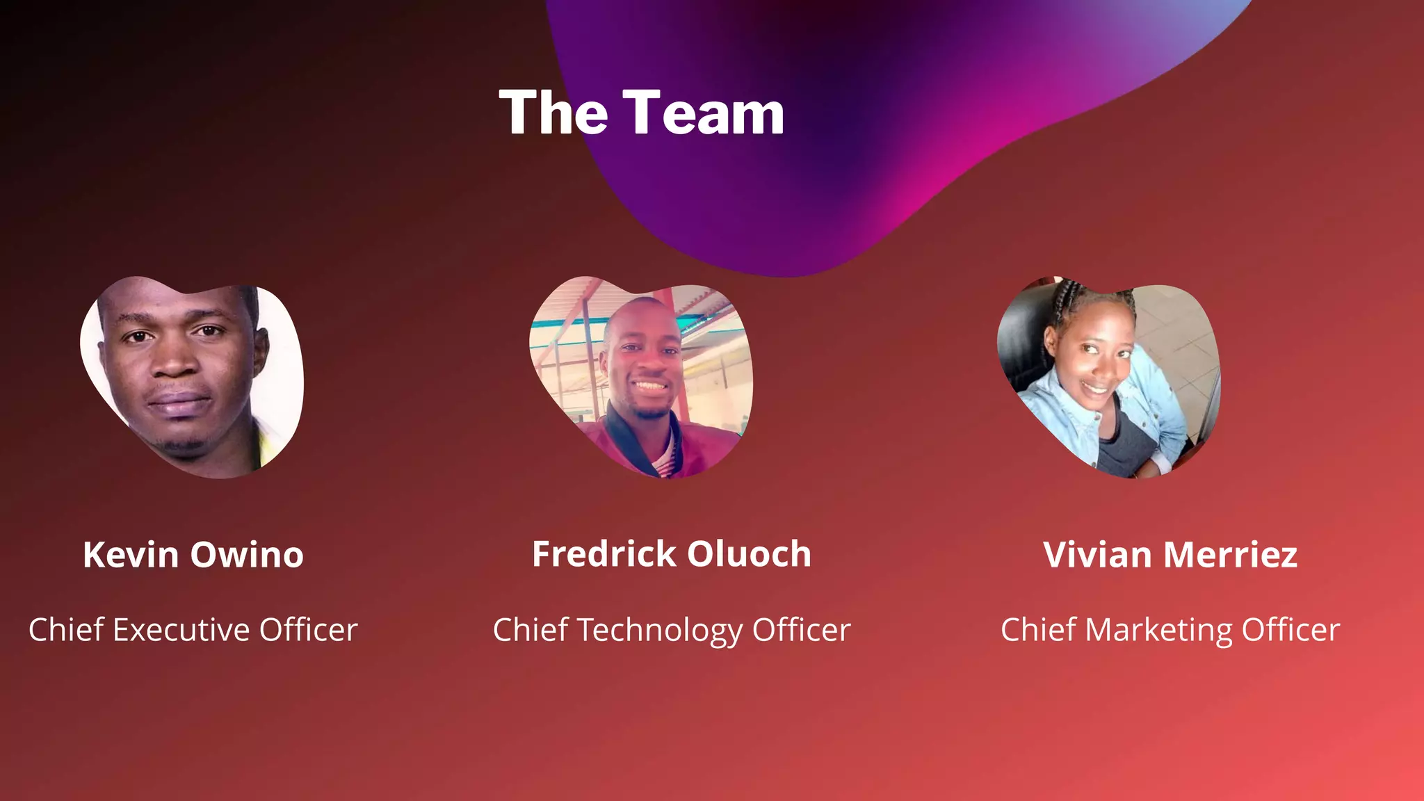 Xenom energy profile | PPT