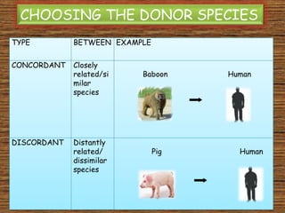 Xenotransplantation | PPTX