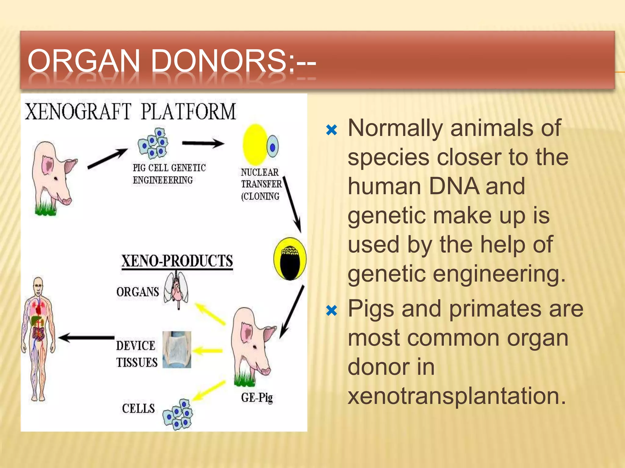 Xenotransplantation | PPTX