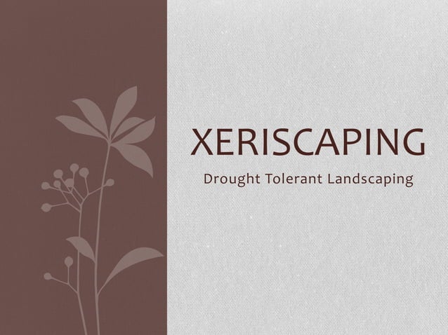 Xeriscaping: Drought Tolerant Landscaping | PPT
