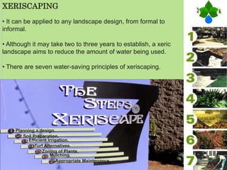 Xeriscaping landscape and bioswale | PPTX