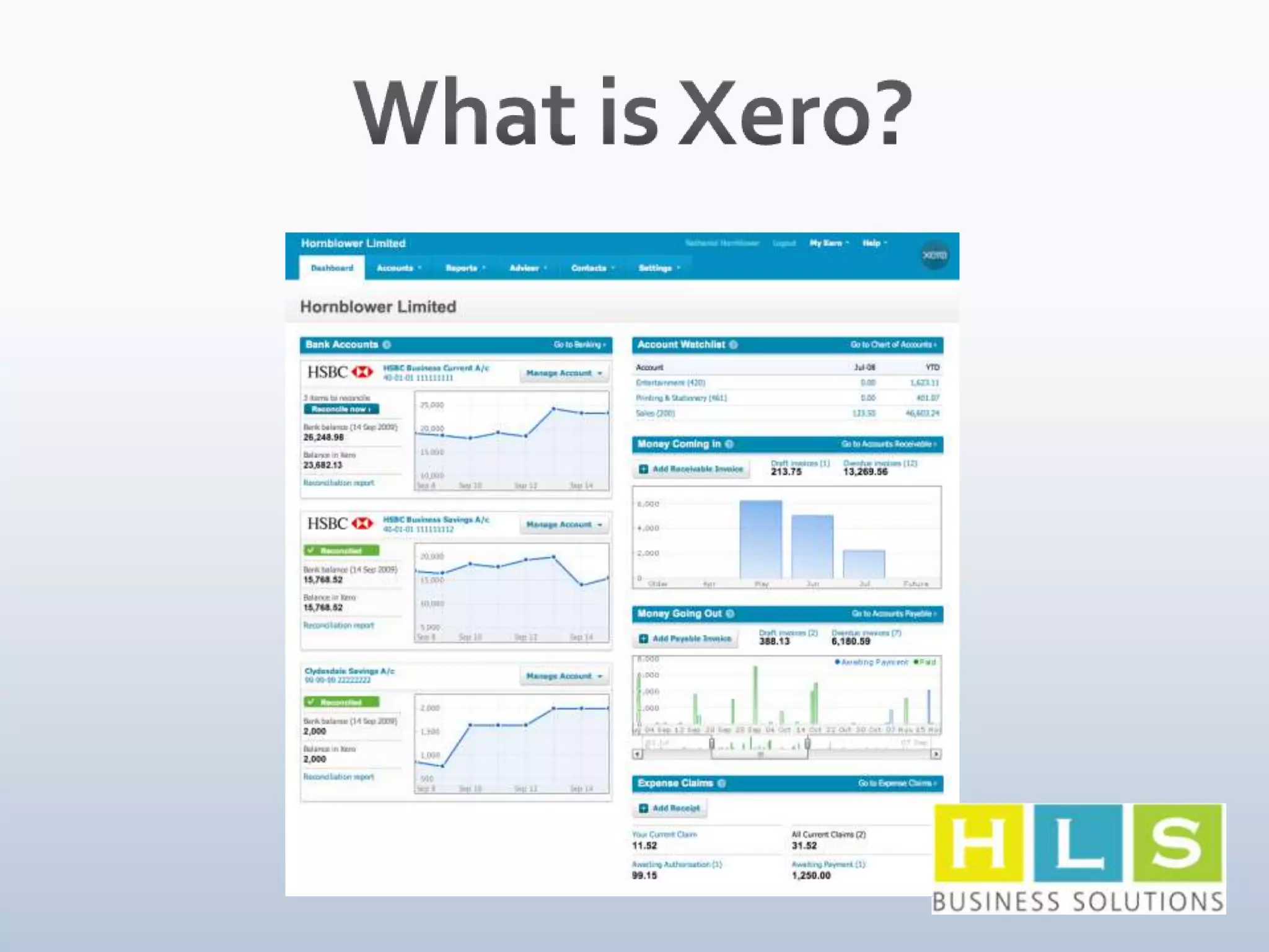 Xero Client Presentation | PPSX