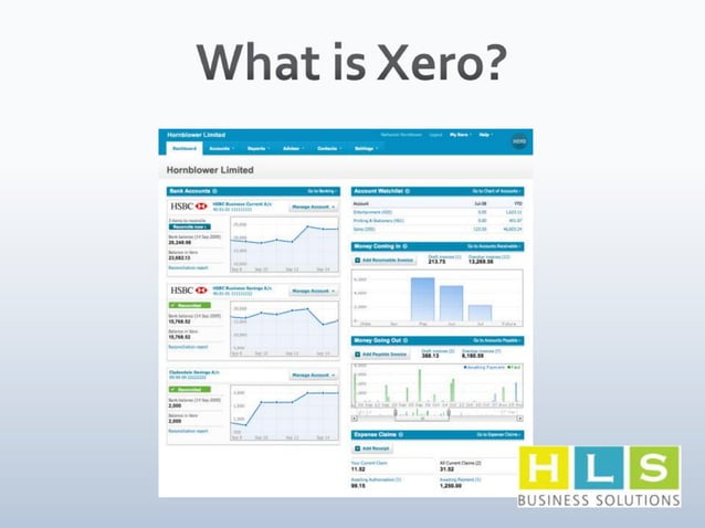Xero Client Presentation | PPSX | Business Accounting & Finance | Business