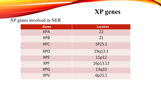 Xeroderma pigmentosum | PPT | Free Download