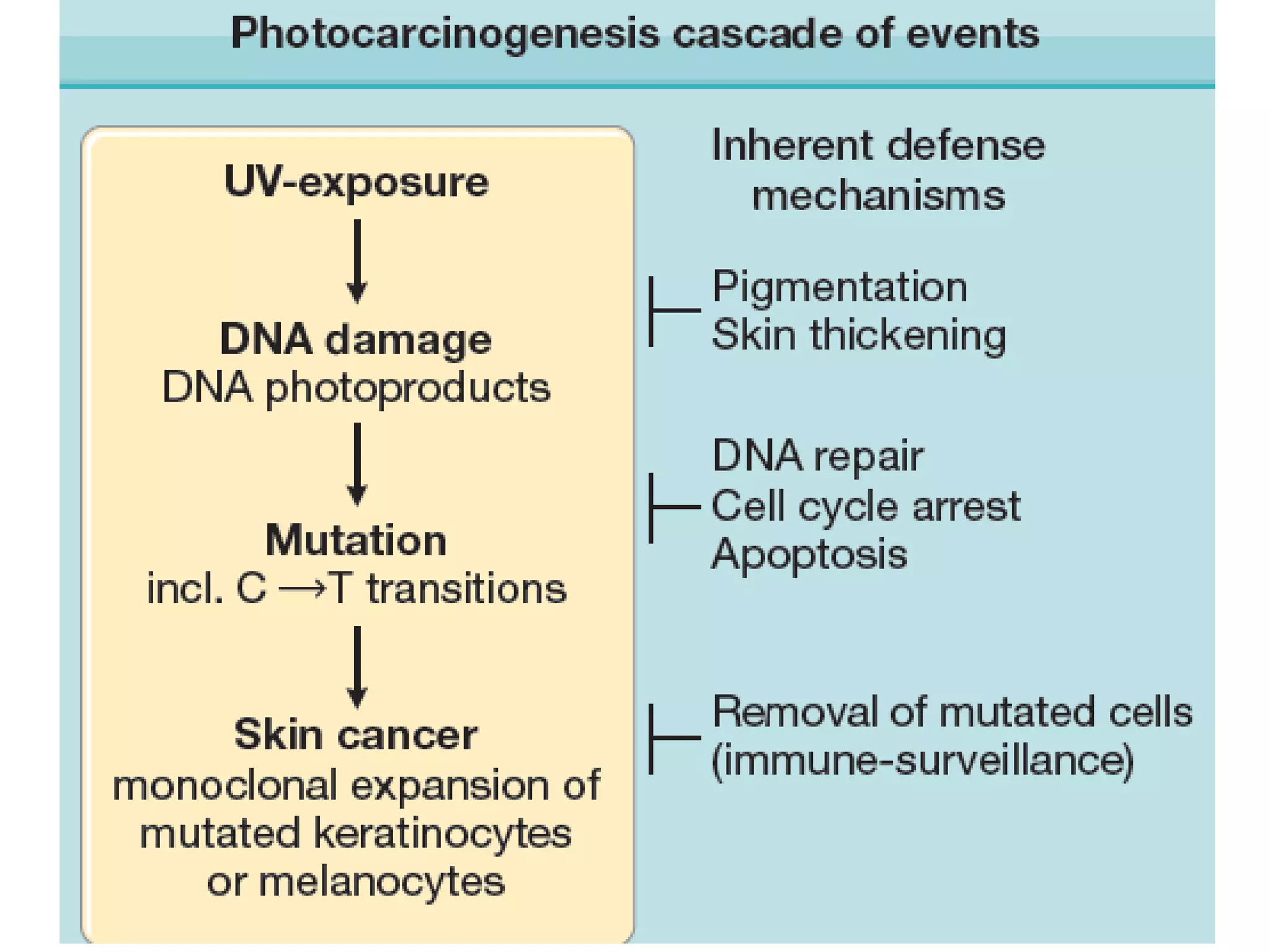 XERODERMA PIGMENTOSUM.pptx