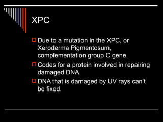 Xeroderma pigmentosum a2 arkadiy f, morgan f | PPT
