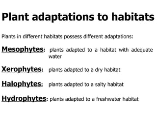 Xerophytes Plant A-Z of botany: Xerophyte | The Biking Gardener