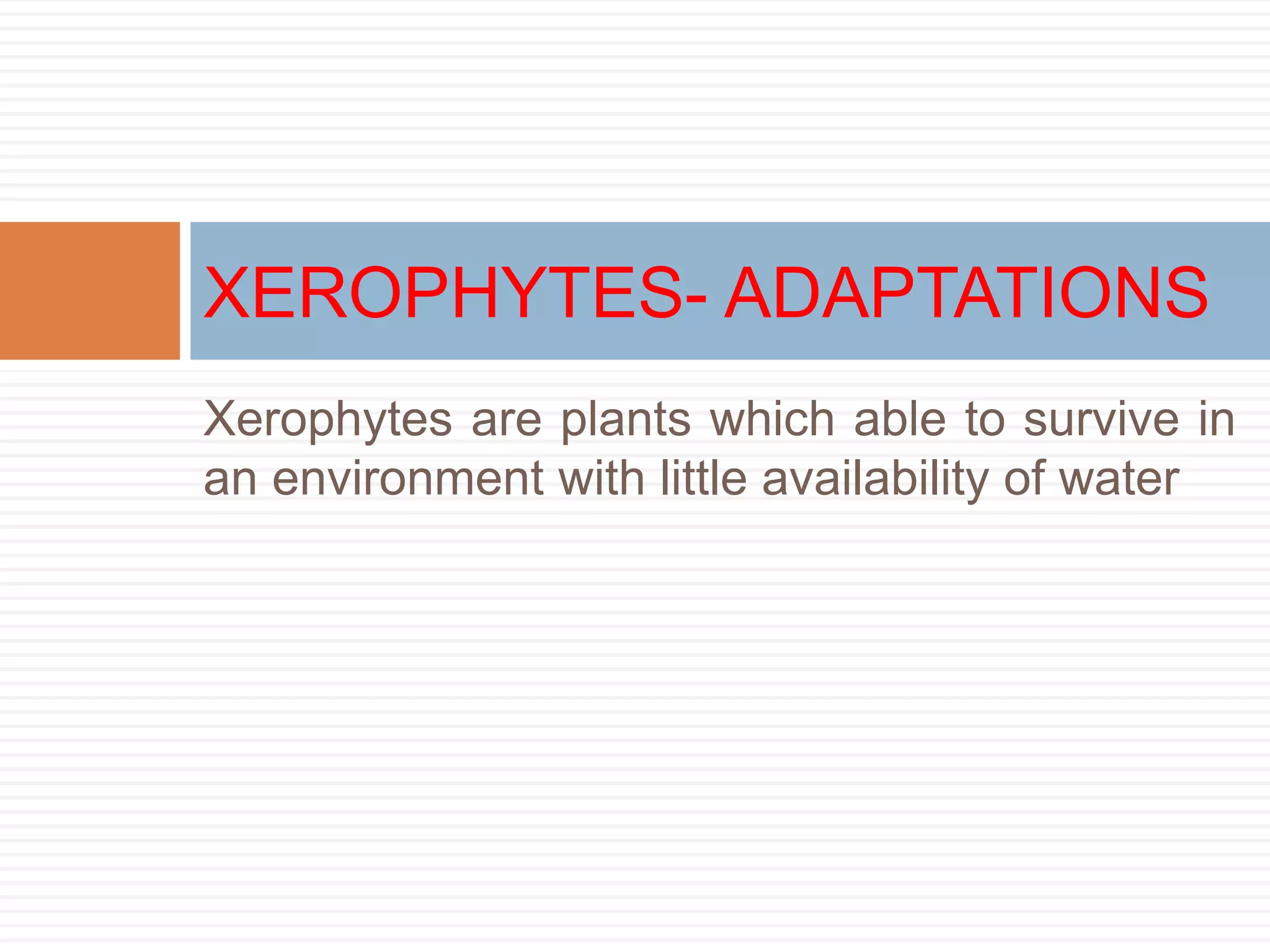 Xerophytes | PPTX
