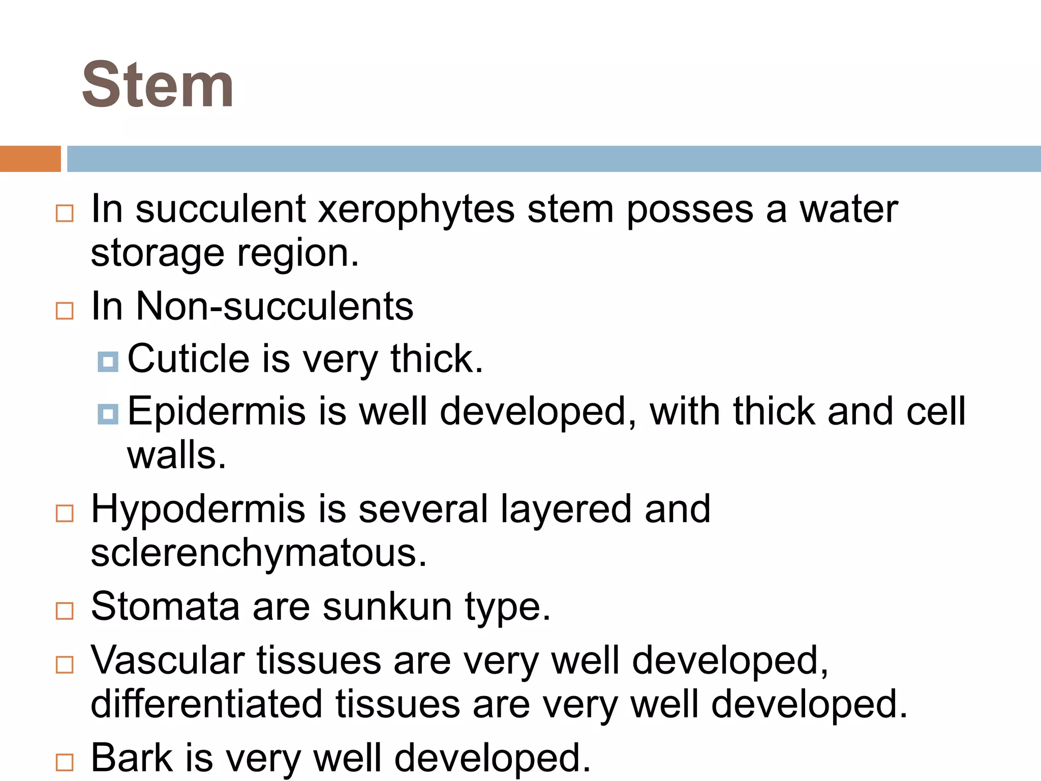 Xerophytes | PPTX | Gardening | Home & Garden
