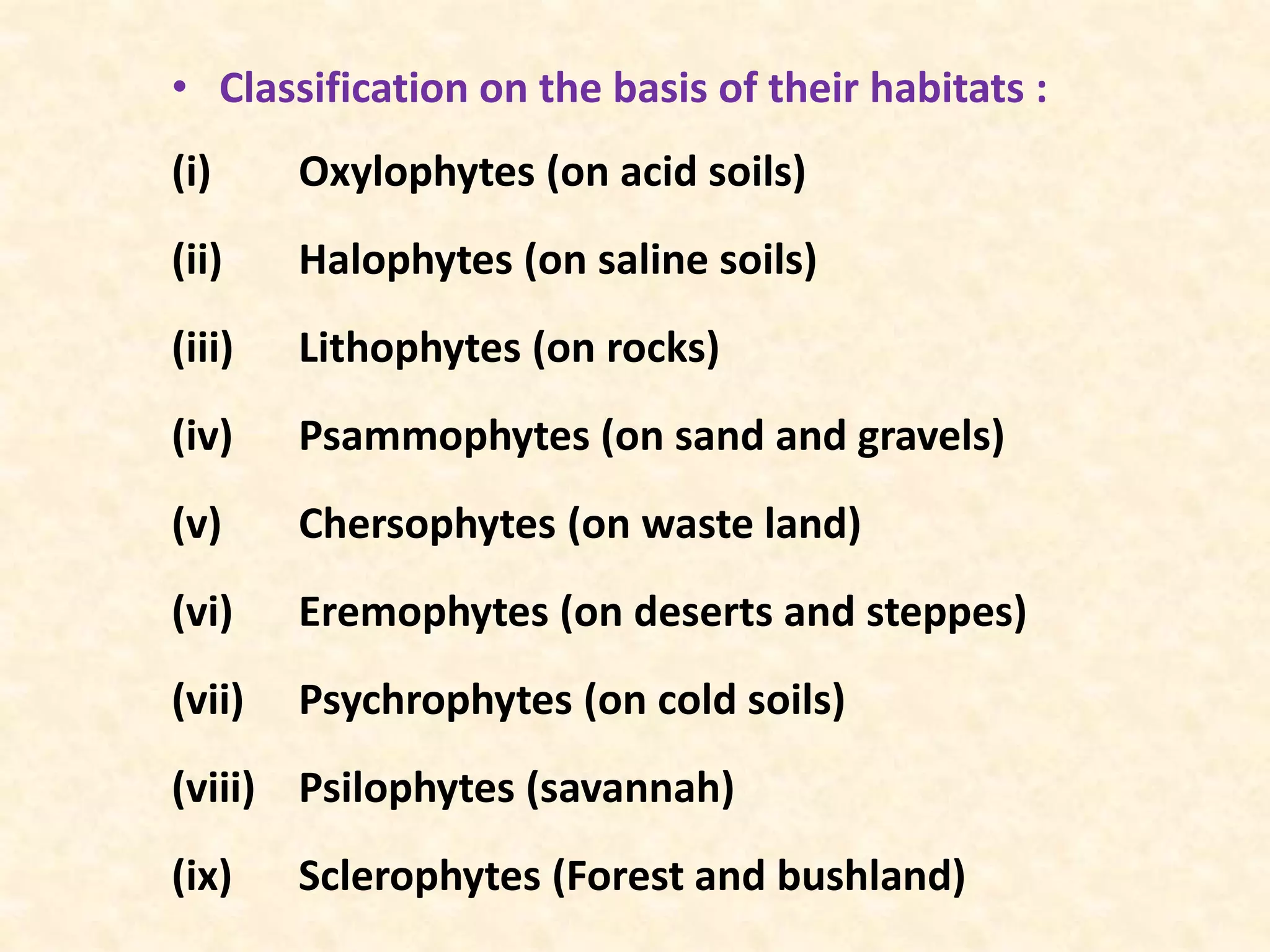 Xerophytes | PDF