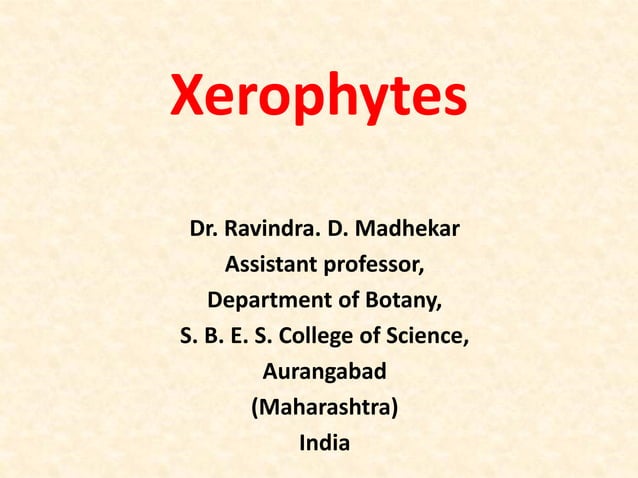 Xerophytes | PDF