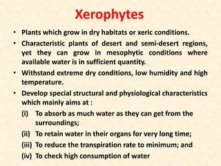 Xerophytes | PDF