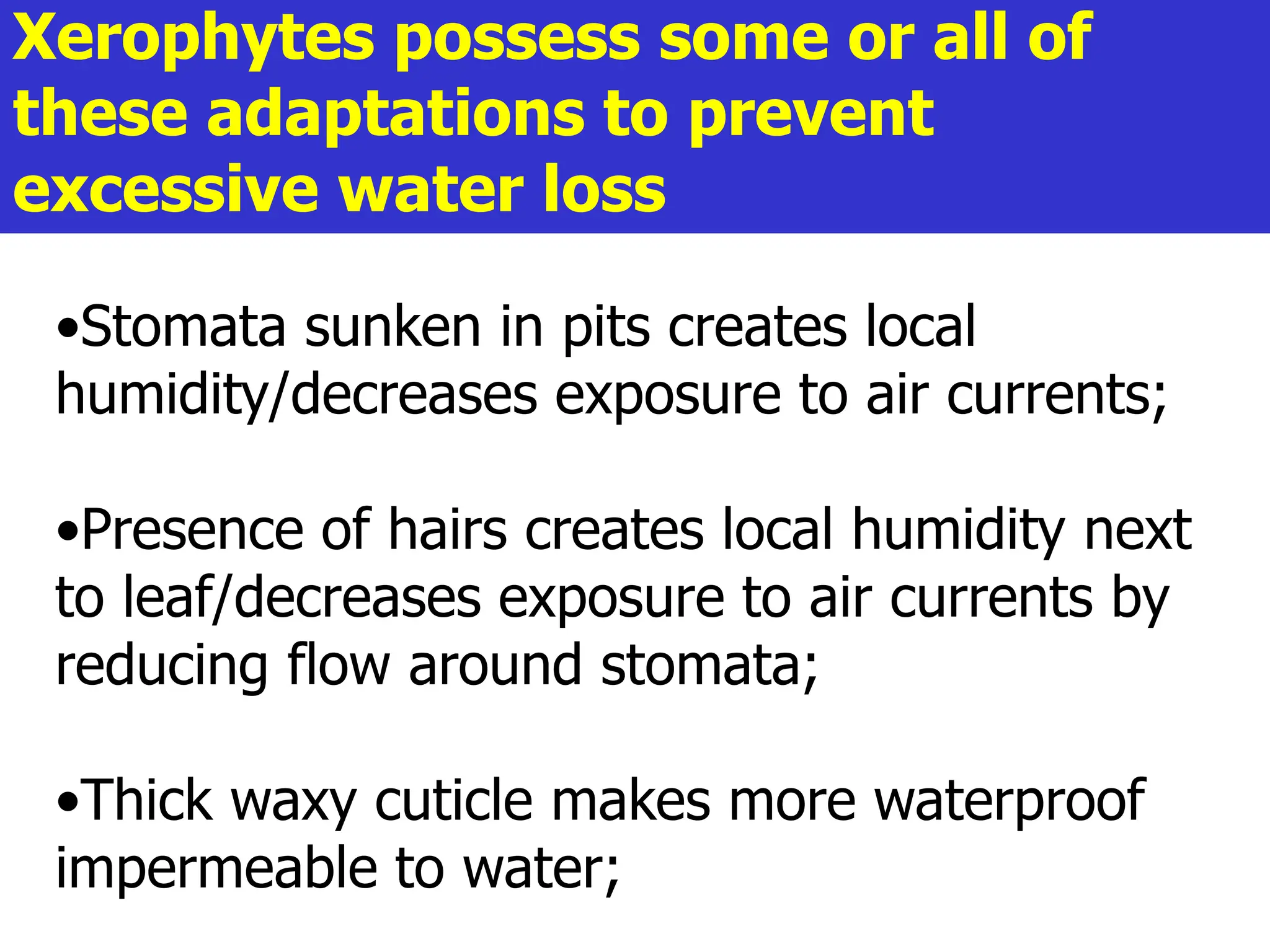 xerophytes.ppt in this ppt you have to study on the adaptive feature of ...